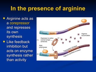 Genetics c | PPT | Chemistry | Science