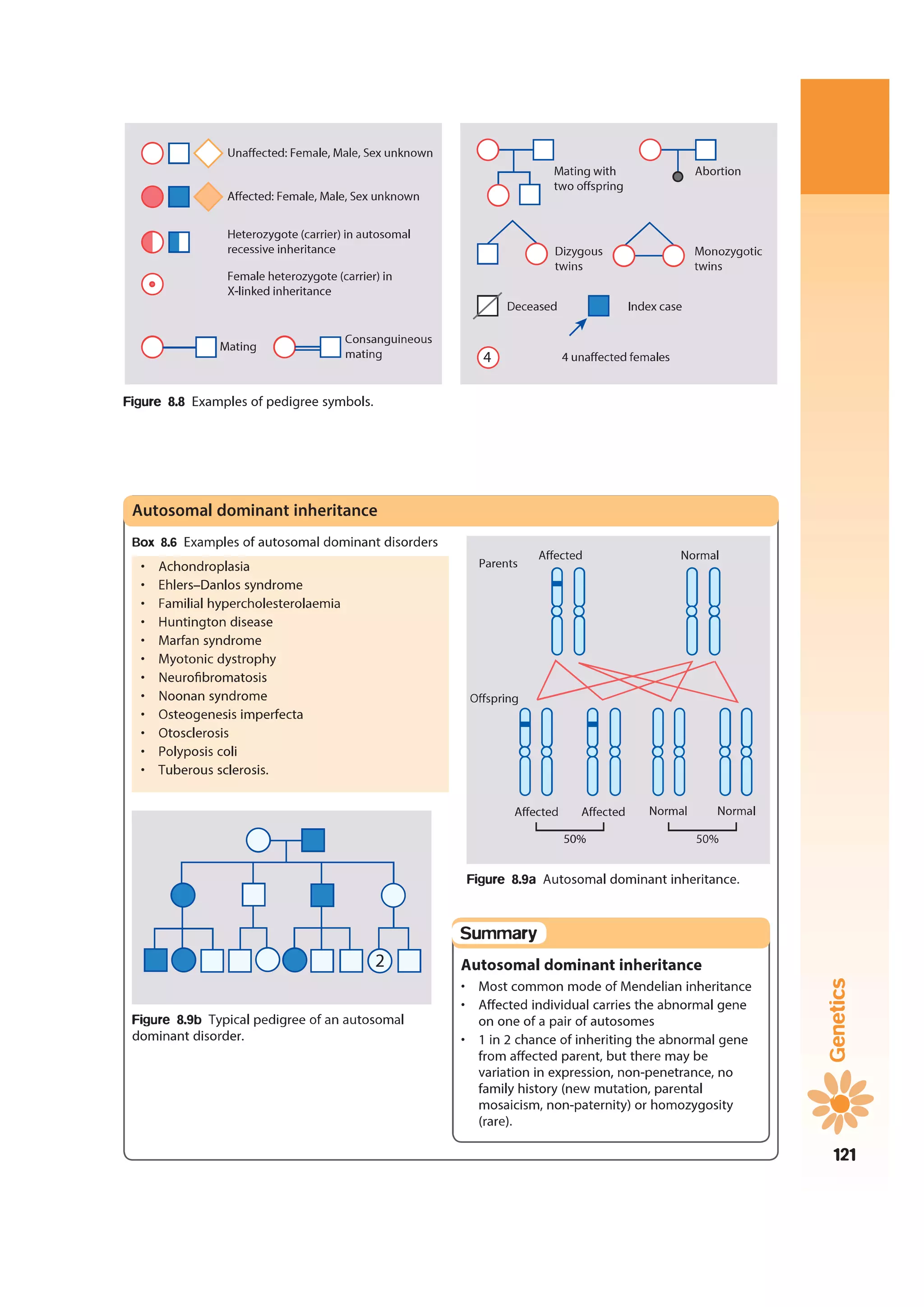 Pediatrics Genetics chapter | PDF