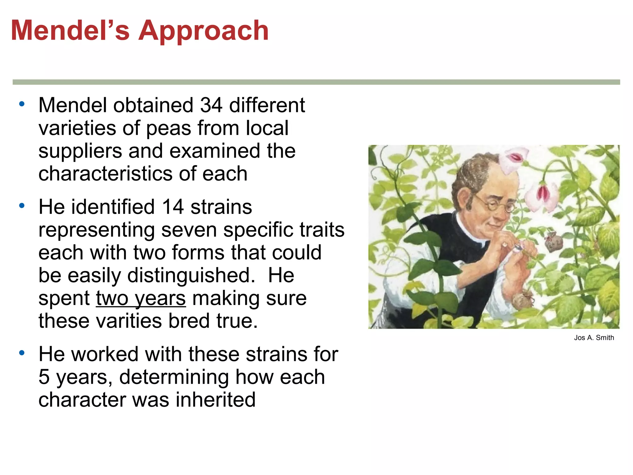 Genetics chapter 2 part 1 (1) | PPT