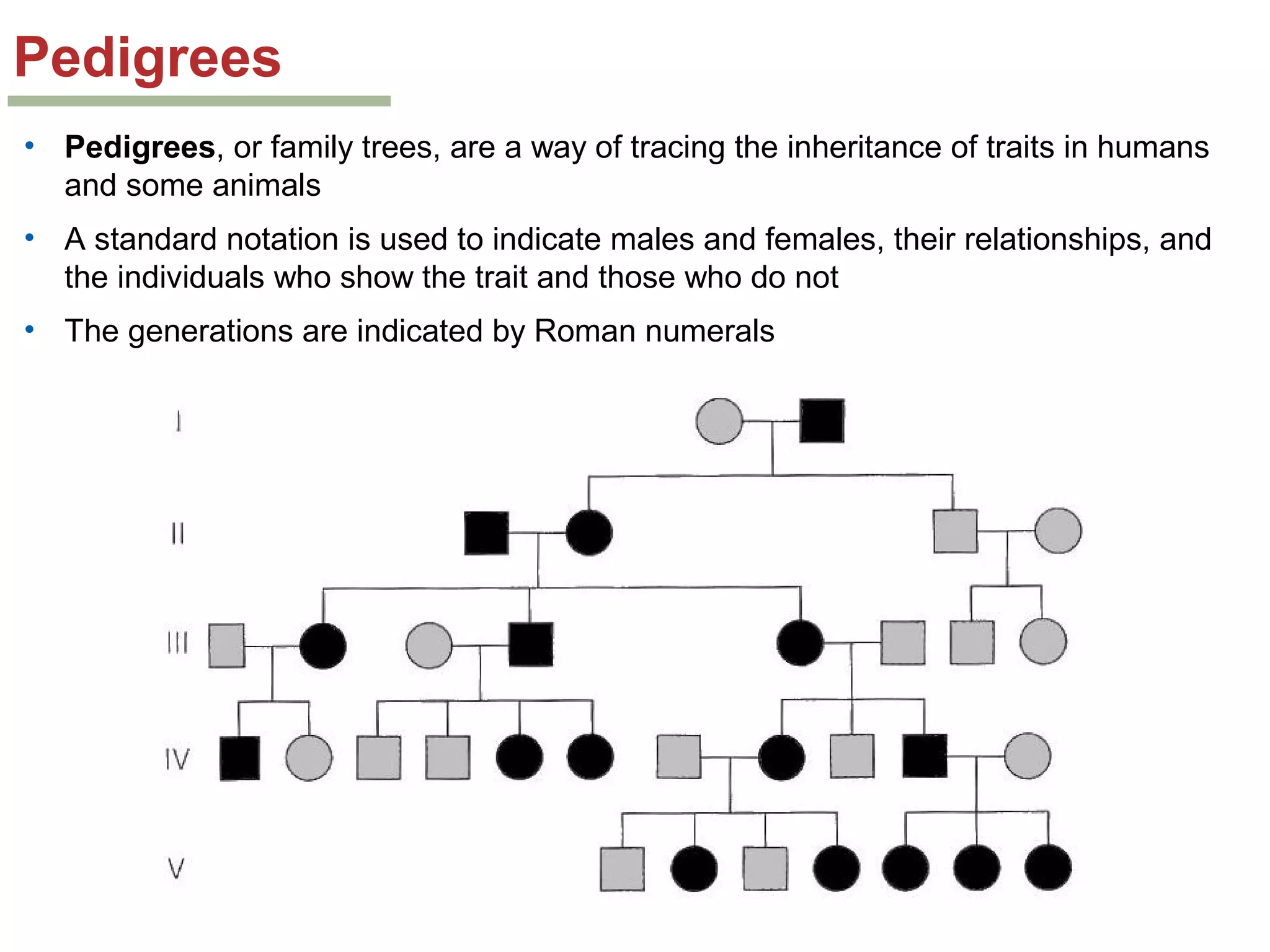 Genetics chapter 2 part 2 | PPT