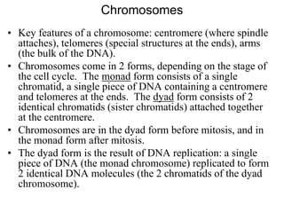 Monad Chromosome
