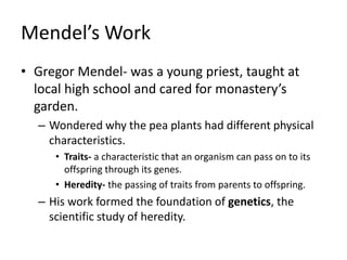 Genetics chapter 3 power point final | PPTX