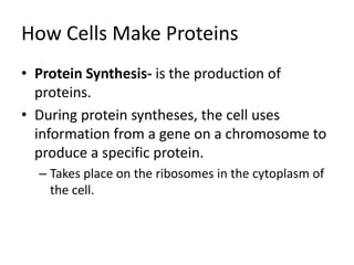 Genetics chapter 3 power point final | PPTX