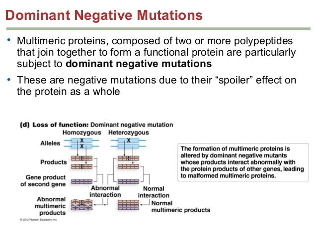 Genetics chapter 4 part 2(1)