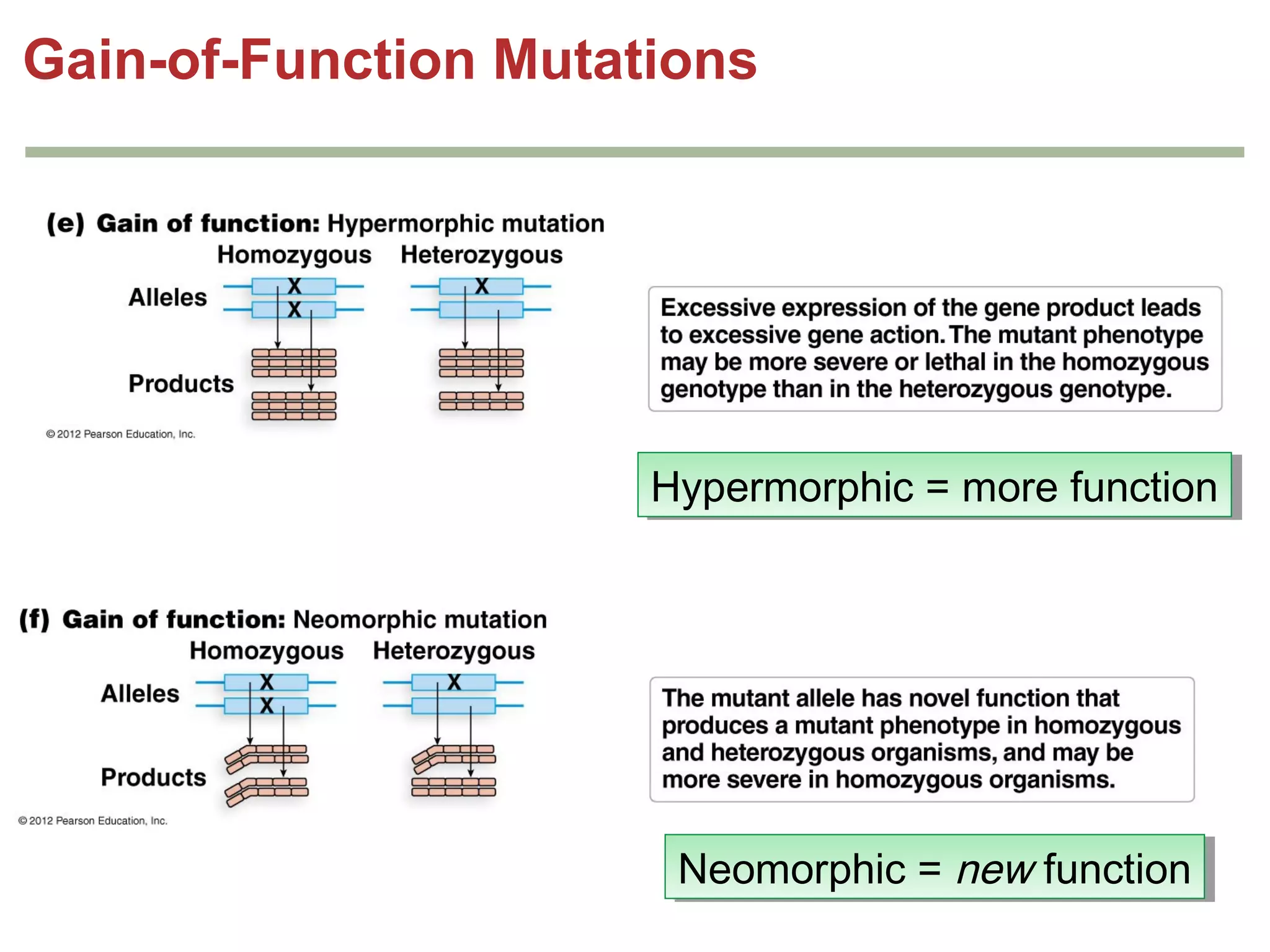Genetics chapter 4 part 2(1) | PPT