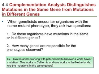 Genetics chapter 4 part 2(1) | PPT