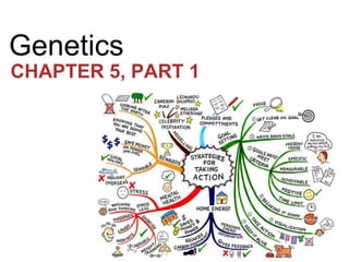 Genetics chapter 5 part 1 | PPTX