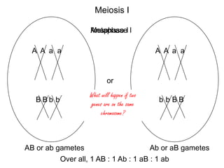 Genetics chapter 5 part 1 | PPTX
