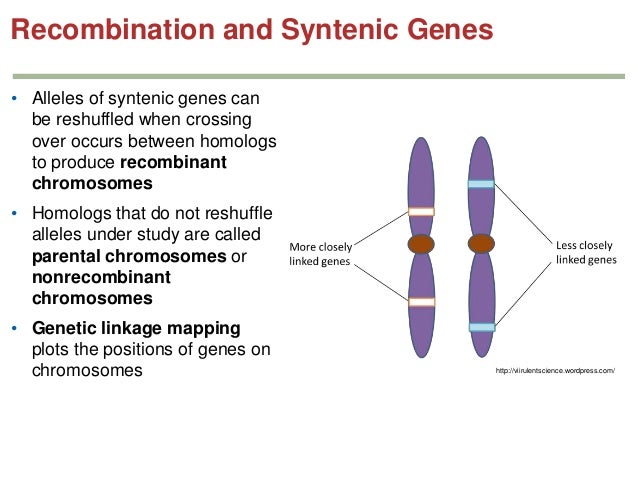 Genetics chapter 5 part 1