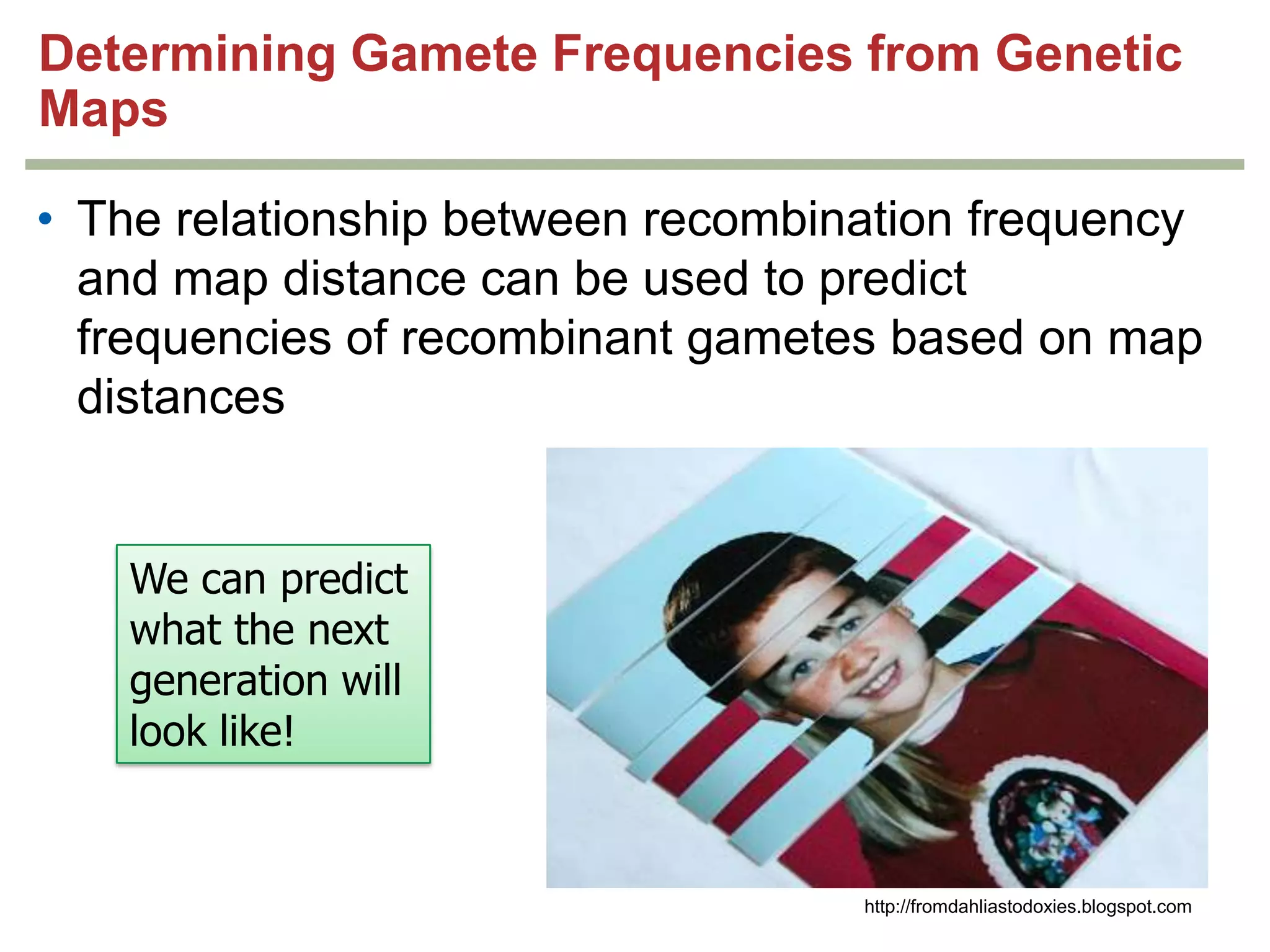 Genetics chapter 5 part 2(1) | PPTX
