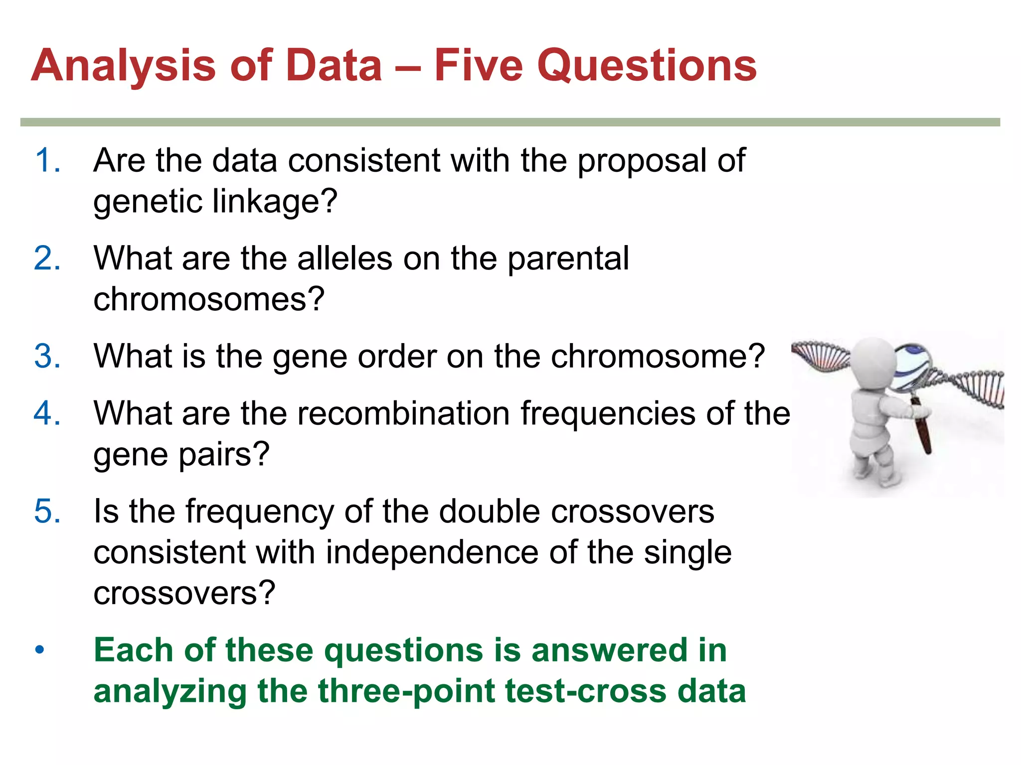 Genetics chapter 5 part 2(1) | PPTX
