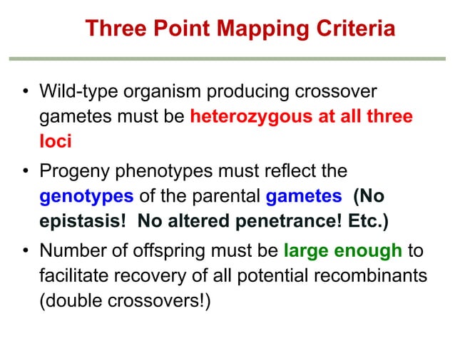 Genetics chapter 5 part 2(1) | PPTX | Genetics | Science