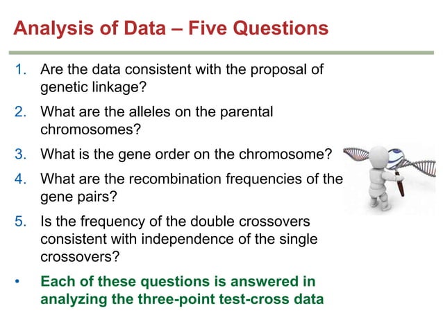 Genetics chapter 5 part 2(1) | PPTX | Genetics | Science