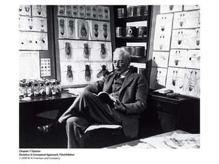 Genetics chapter 5 part 2(1) | PPTX