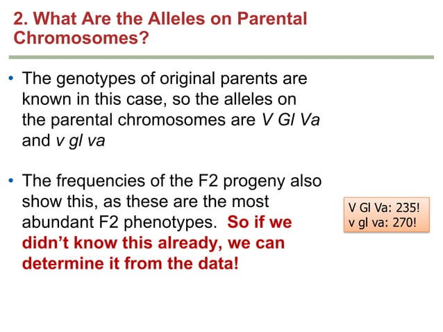 Genetics chapter 5 part 2(1) | PPTX | Genetics | Science