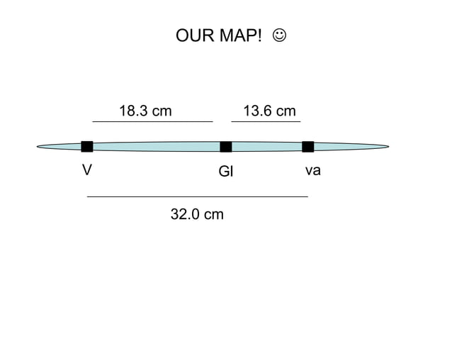 Genetics chapter 5 part 2(1) | PPTX | Genetics | Science