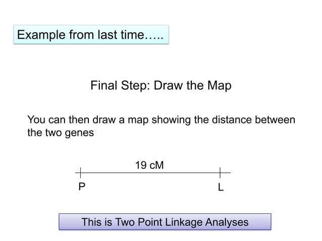 Genetics chapter 5 part 2(1) | PPTX | Genetics | Science