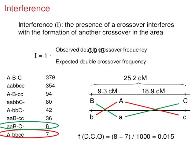 Genetics chapter 5 part 2(1)