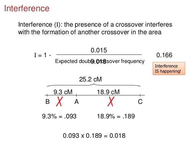 Genetics chapter 5 part 2(1)