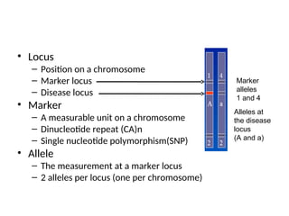 Genetics modification and manipulation.ppt