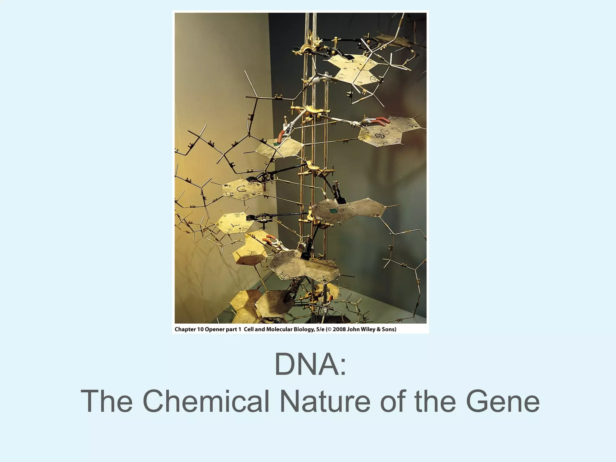 Genetics chapter 7 dna structure and replication | PPT