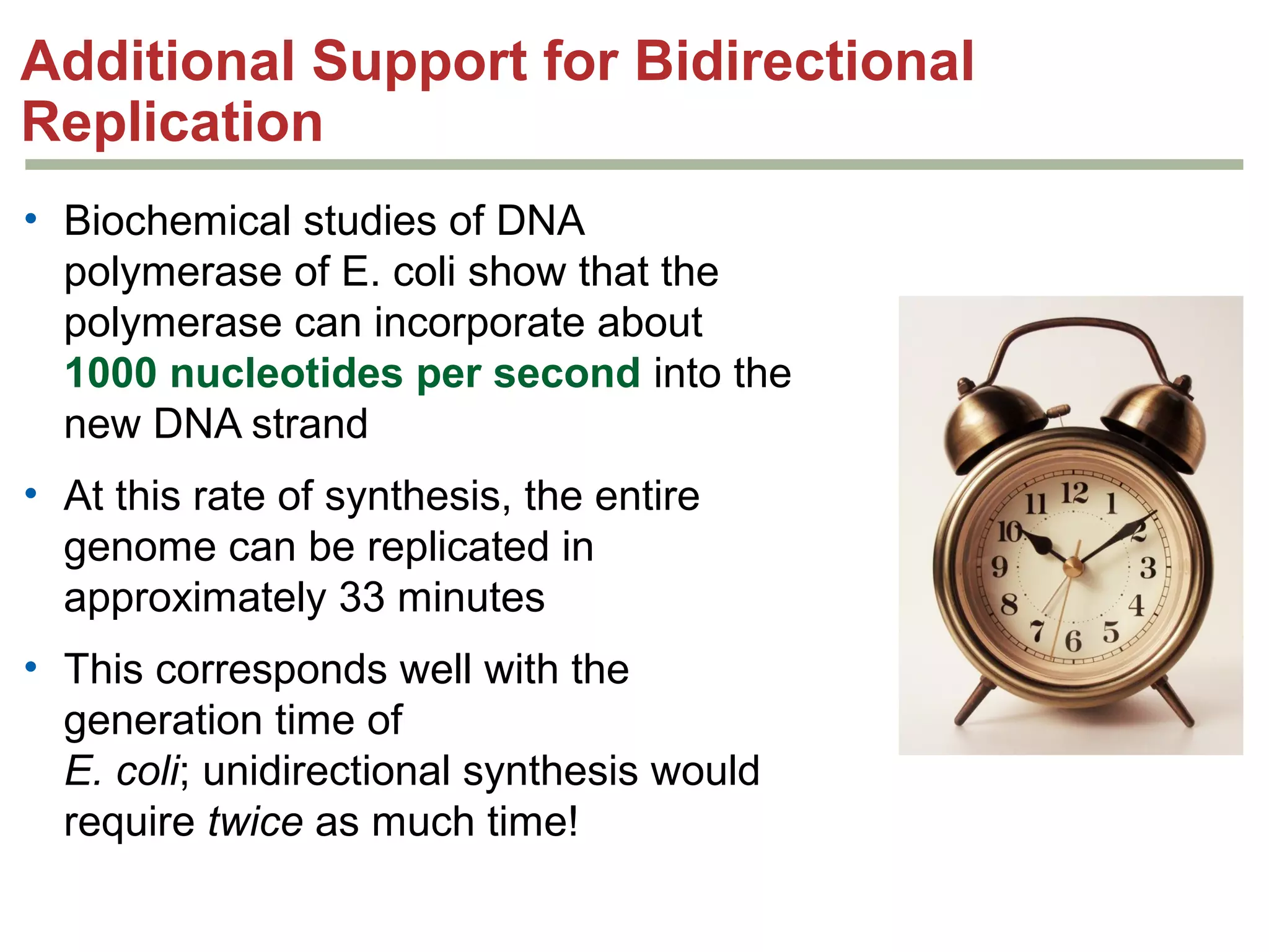 Genetics chapter 7 dna structure and replication | PPT