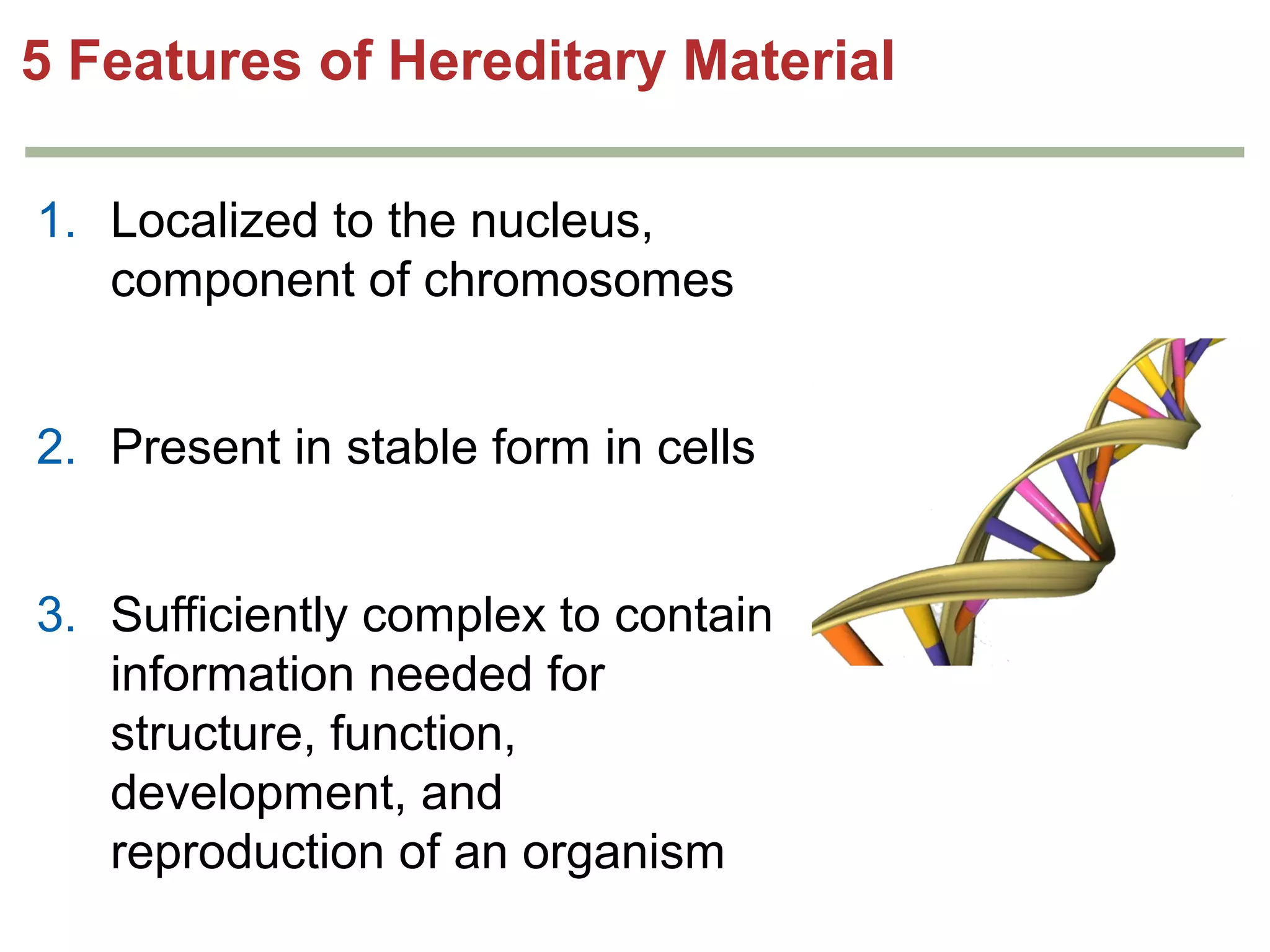 Genetics chapter 7 dna structure and replication | PPT