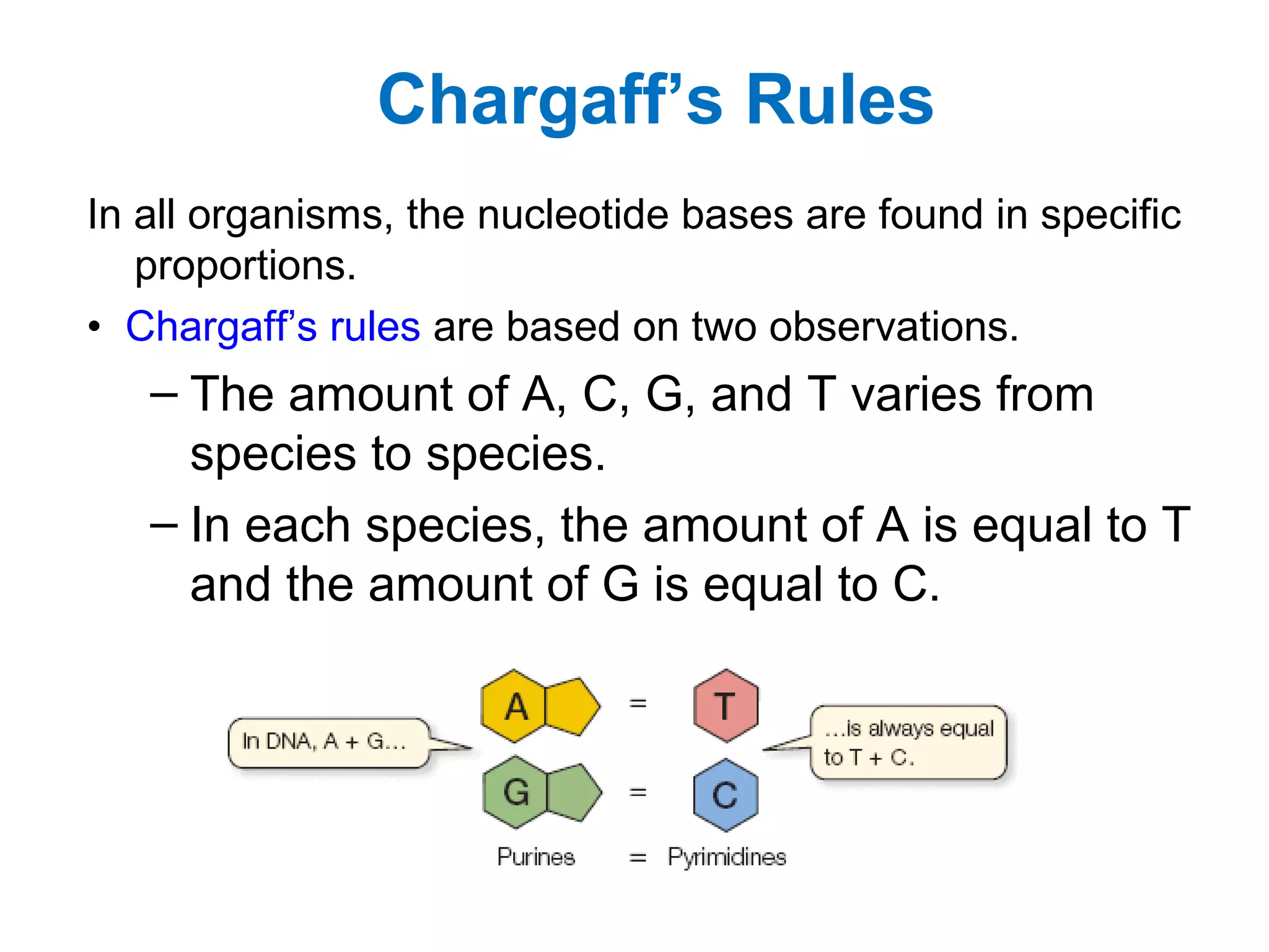 Genetics chapter 7 dna structure and replication | PPT