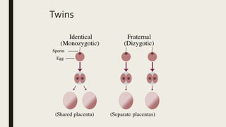 Genetics & Epigenetics | PPTX
