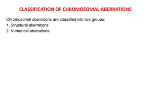 Genetic Series Chromosomal Aberrations.pptx