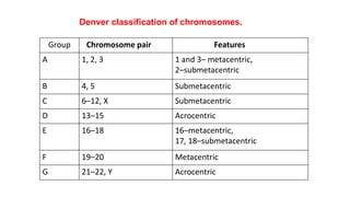 Genetic Series Cytogenetics.pptx