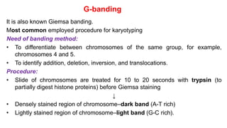 Genetic Series Cytogenetics.pptx