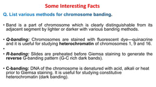 Genetic Series Cytogenetics.pptx