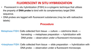 Genetic Series Cytogenetics.pptx