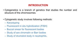 Genetic Series Cytogenetics.pptx