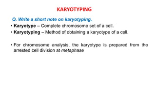Genetic Series Cytogenetics.pptx