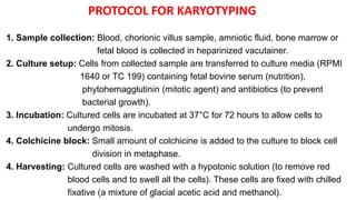 Genetic Series Cytogenetics.pptx