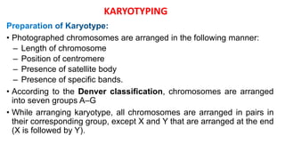 Genetic Series Cytogenetics.pptx
