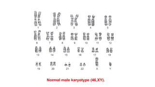Genetic Series Cytogenetics.pptx