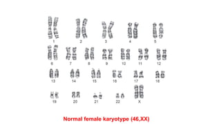 Genetic Series Cytogenetics.pptx
