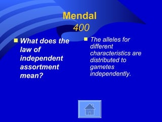 Genetics evo jeopardy revised | PPT