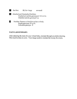 Genetics face lab | PDF
