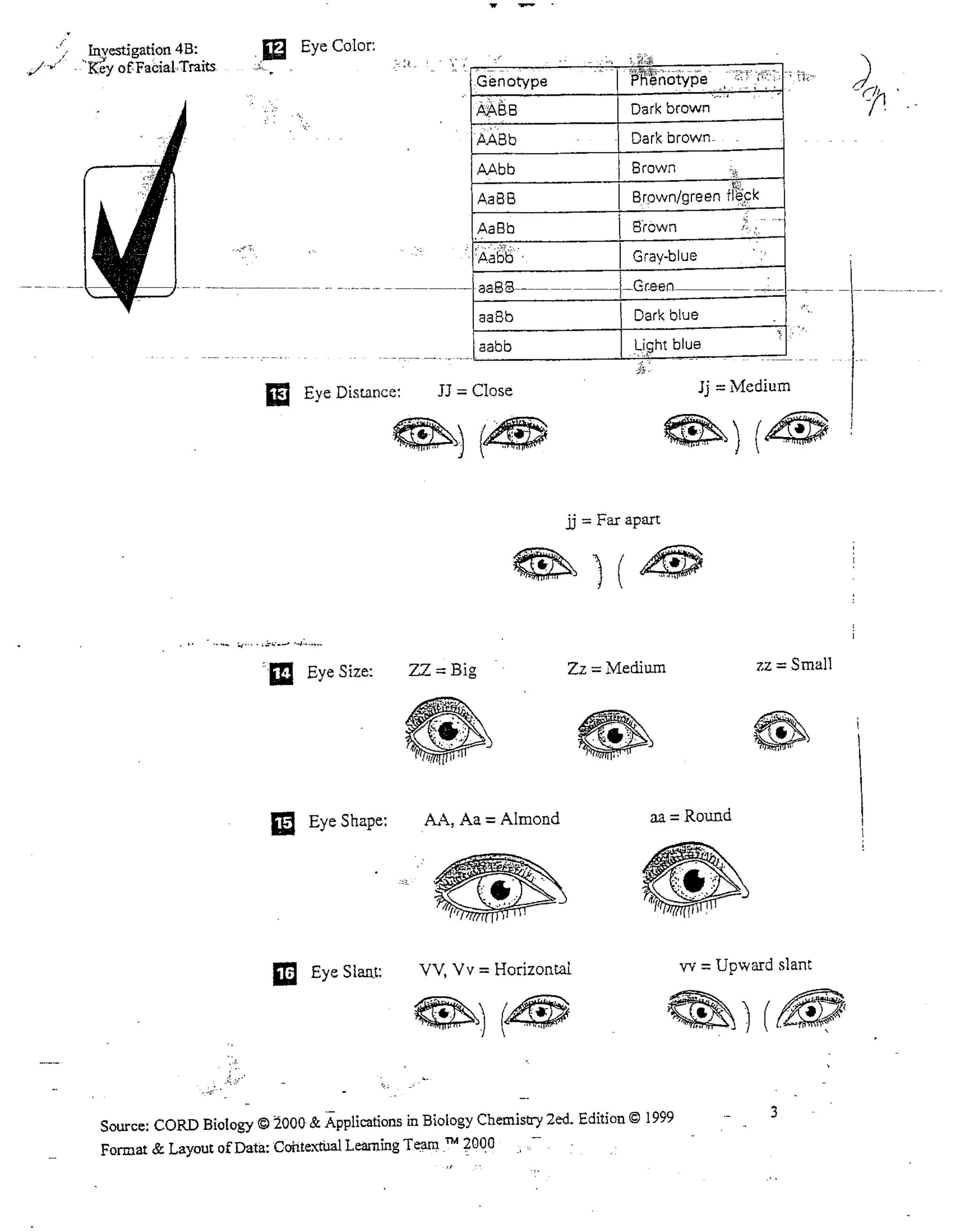 Genetics face lab | PDF