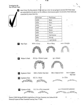 Genetics face lab | PDF