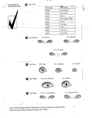 Genetics face lab | PDF