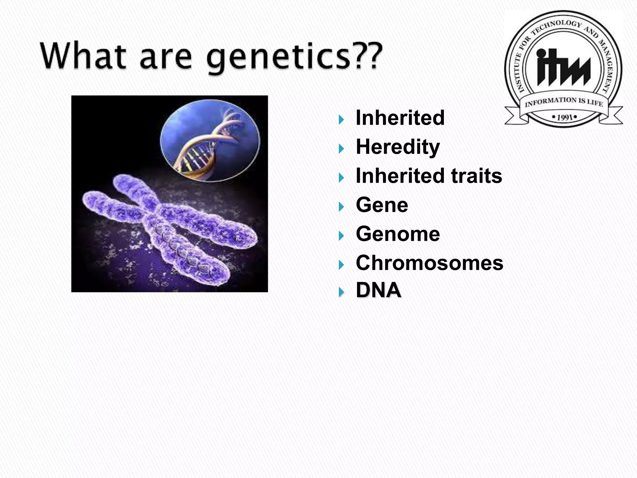 Genetics factors | PPTX | Eye and Vision Conditions | Diseases and ...