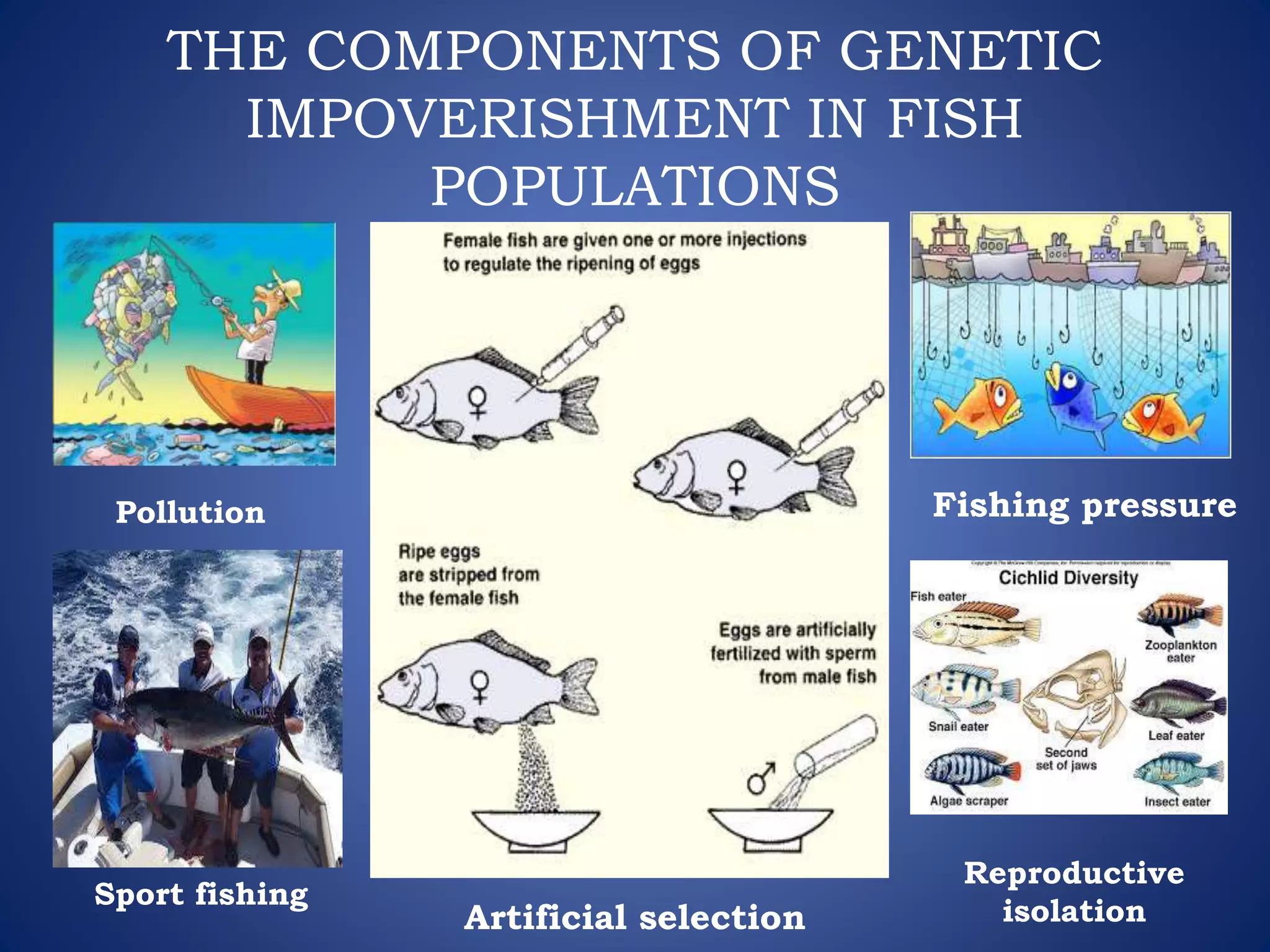 Genetics for fish_resource_conservation_new_krik[1] | PPTX