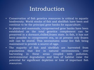 Genetics for fish_resource_conservation_new_krik[1] | PPTX