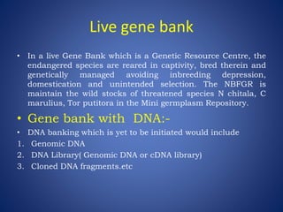 Genetics for fish_resource_conservation_new_krik[1] | PPTX