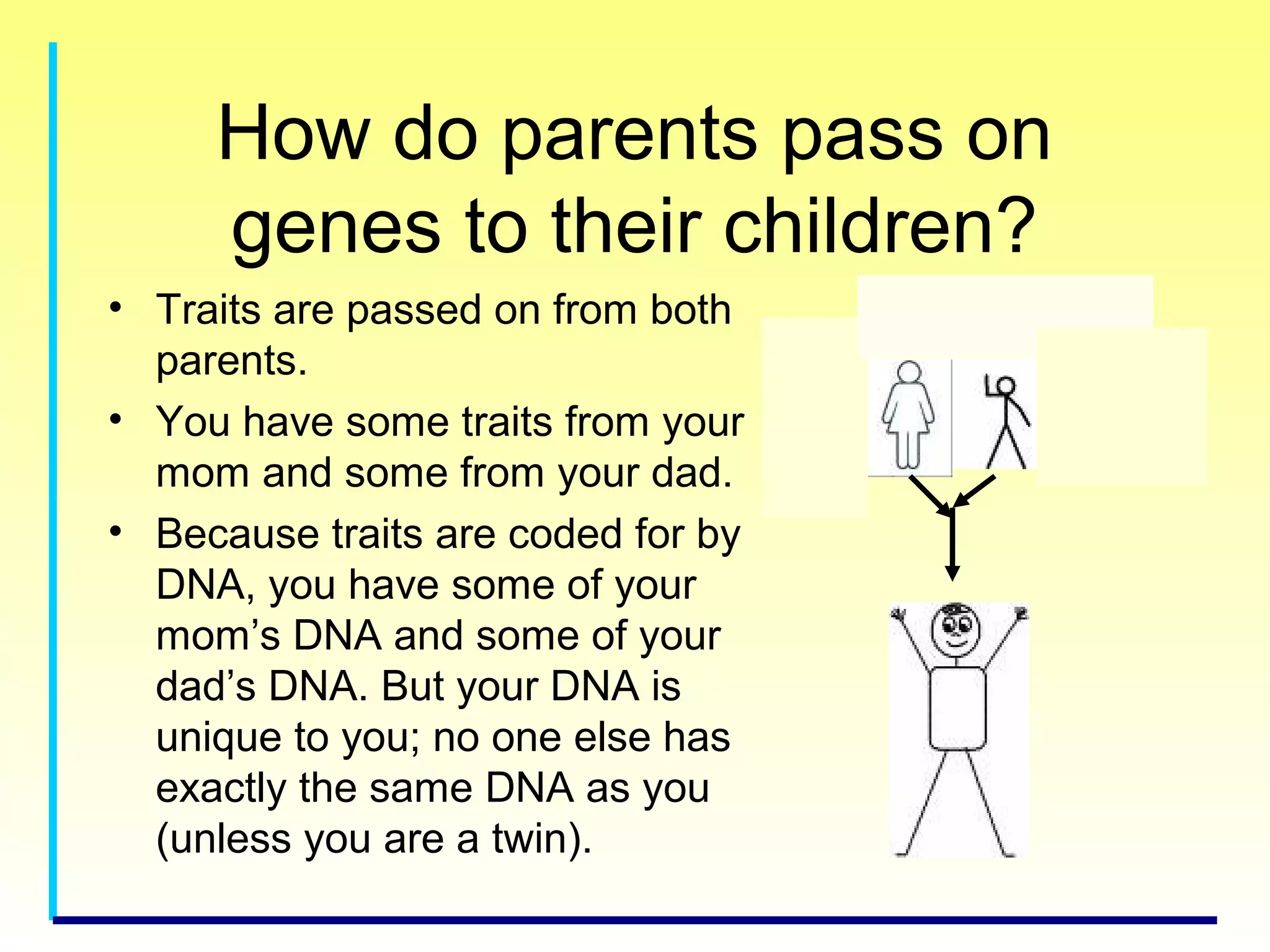 Genetics for kids | PPT